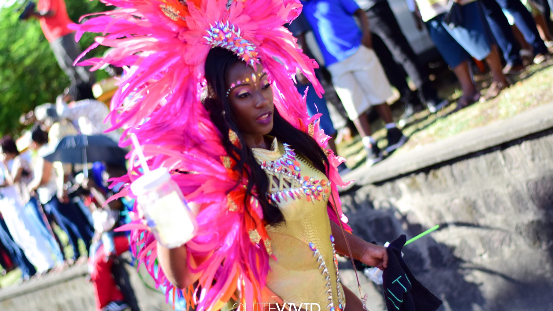 Sugar Mas 45 (SKN Carnival) | CaribVision